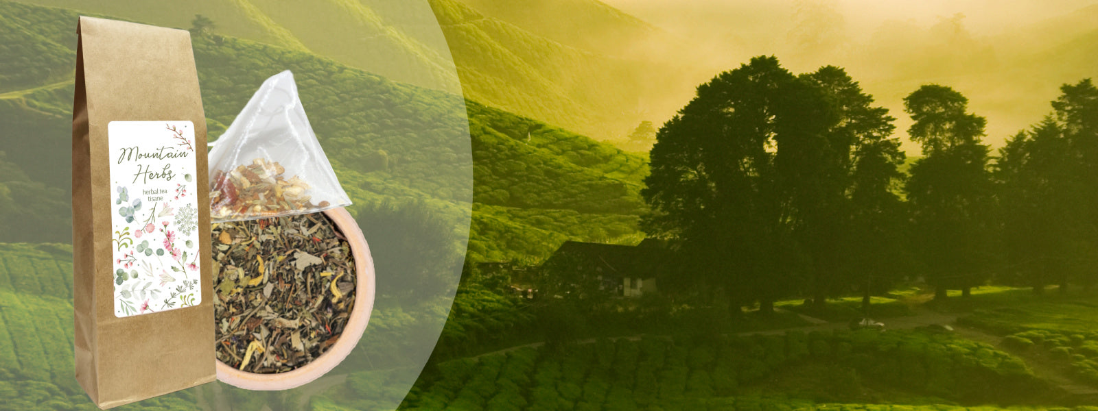 Tea Butler Canada Imports