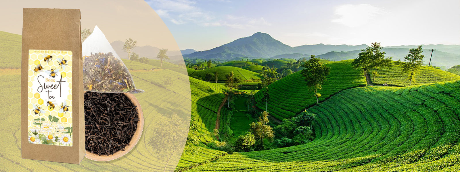 Tea Butler Canada Imports